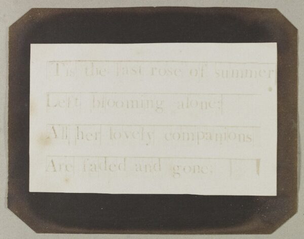 Constance Fox Talbot - British Photographer - Hundred Heroines