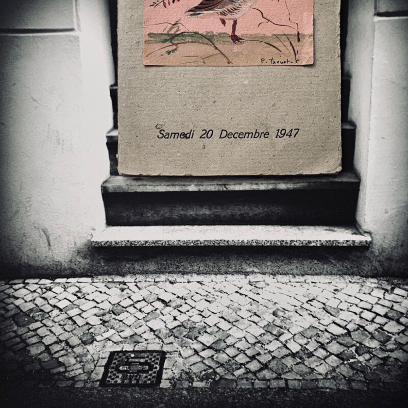 Mari Mahr - Hungarian-British Photographer - Hundred Heroines