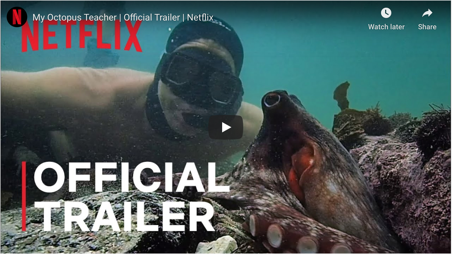 My Octopus Teacher - Women in Film - Hundred Heroines