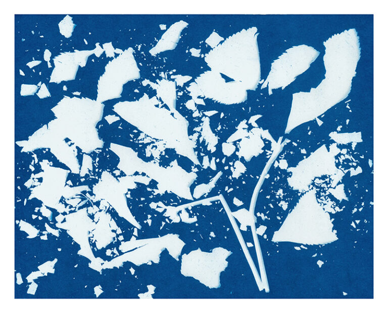 Gohar Dashti explores the process of cyanotypes in Summer exhibition