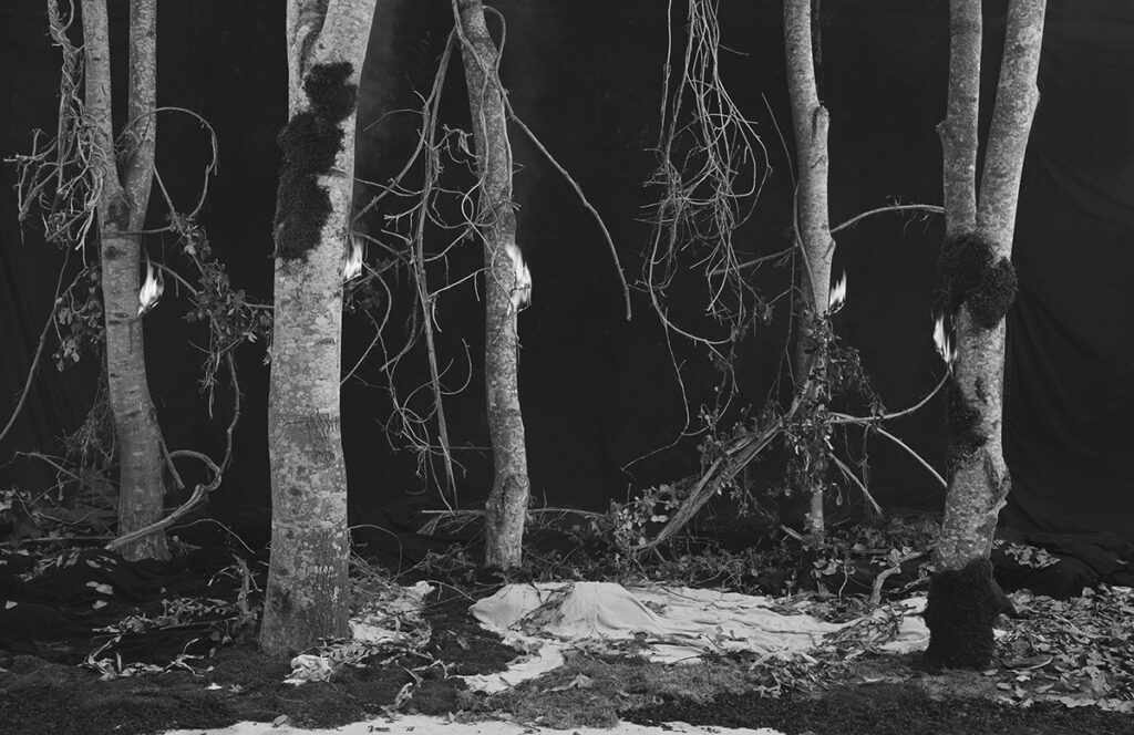 British artist examines the correlation between nature and healing