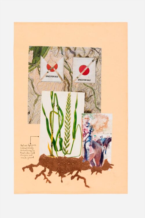 Rahima Gambo’s Bird Song Orientations - Hundred Heroines