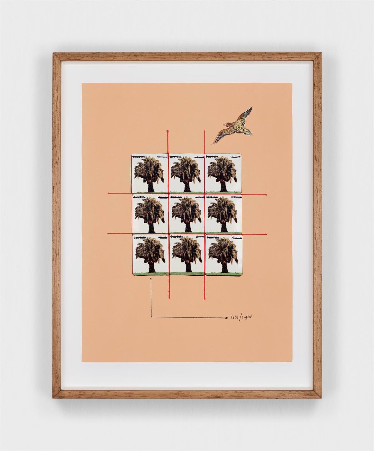 Rahima Gambo’s Bird Song Orientations - Hundred Heroines