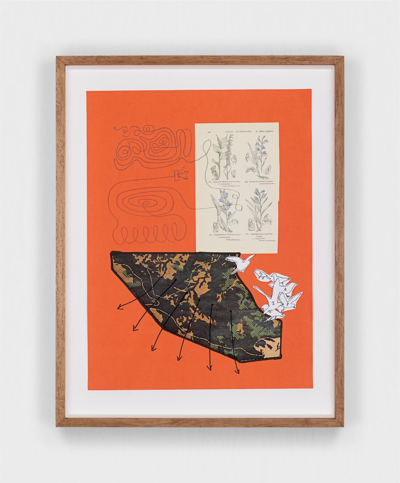 Rahima Gambo’s Bird Song Orientations - Hundred Heroines