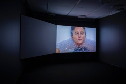 Trish Morrissey - Autofictions - Autofictions - Hundred Heroines