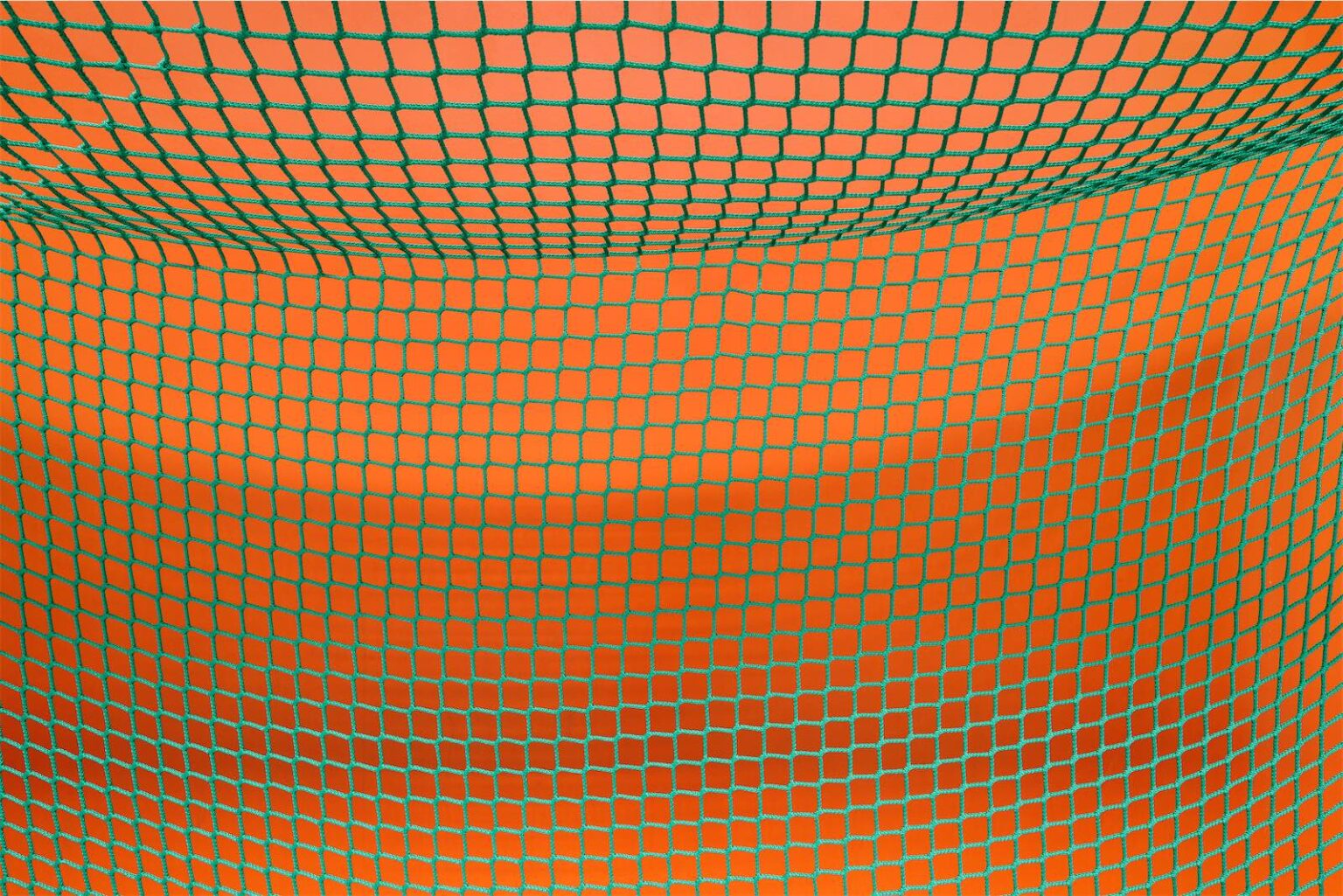 Carey Young: Appearance - Hundred Heroines