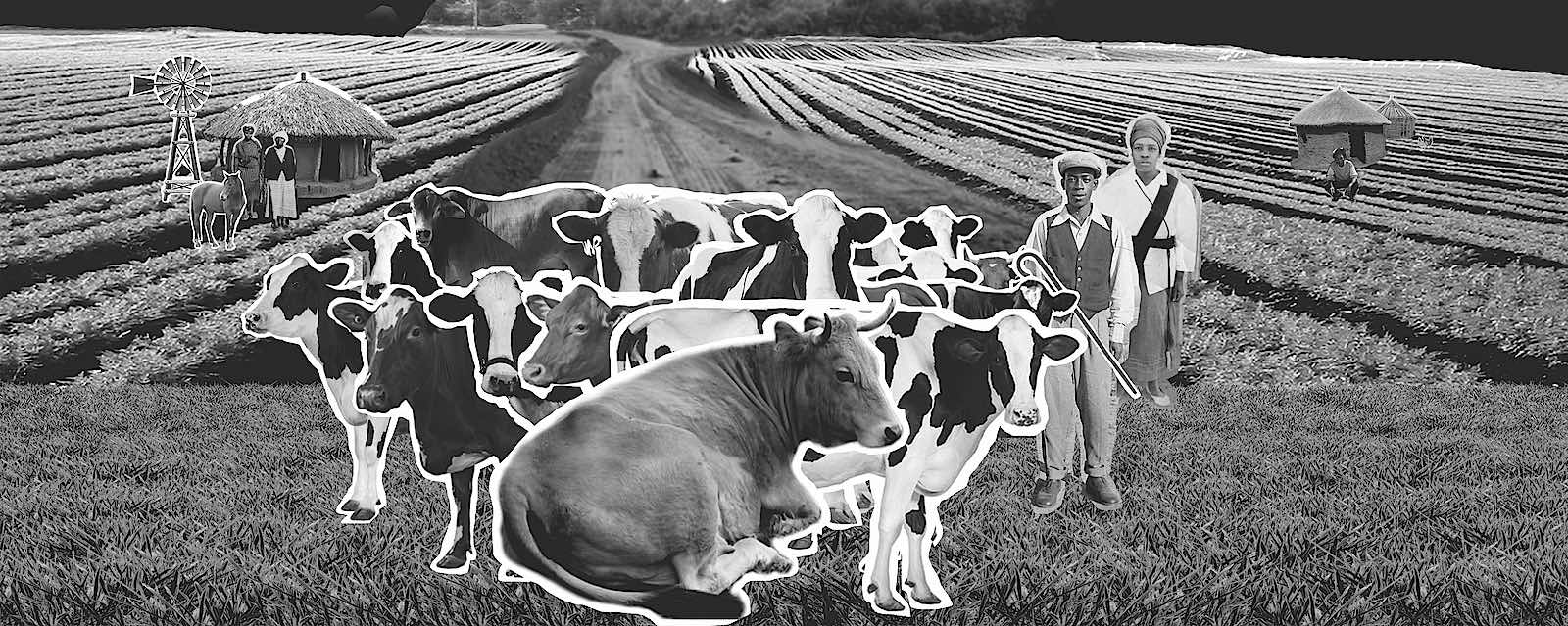 Deutsche Börse Photography Foundation Prize 2024 - Hundred Heroines