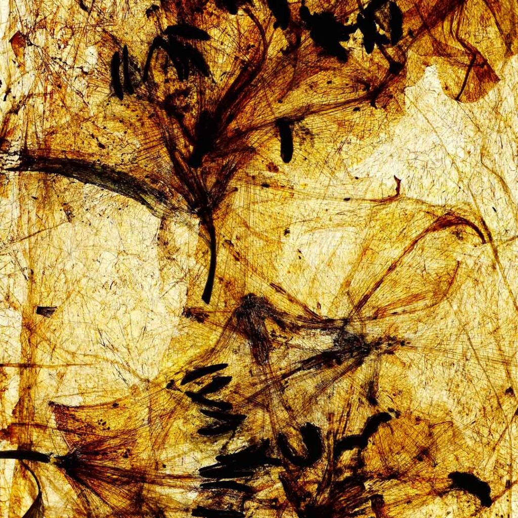 SCOBY Archives - Hundred Heroines