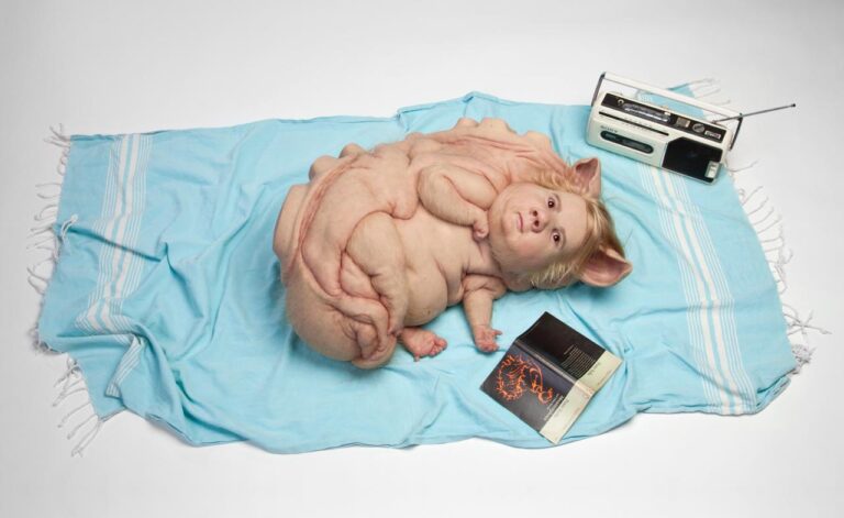 Patricia Piccinini - Hundred Heroines